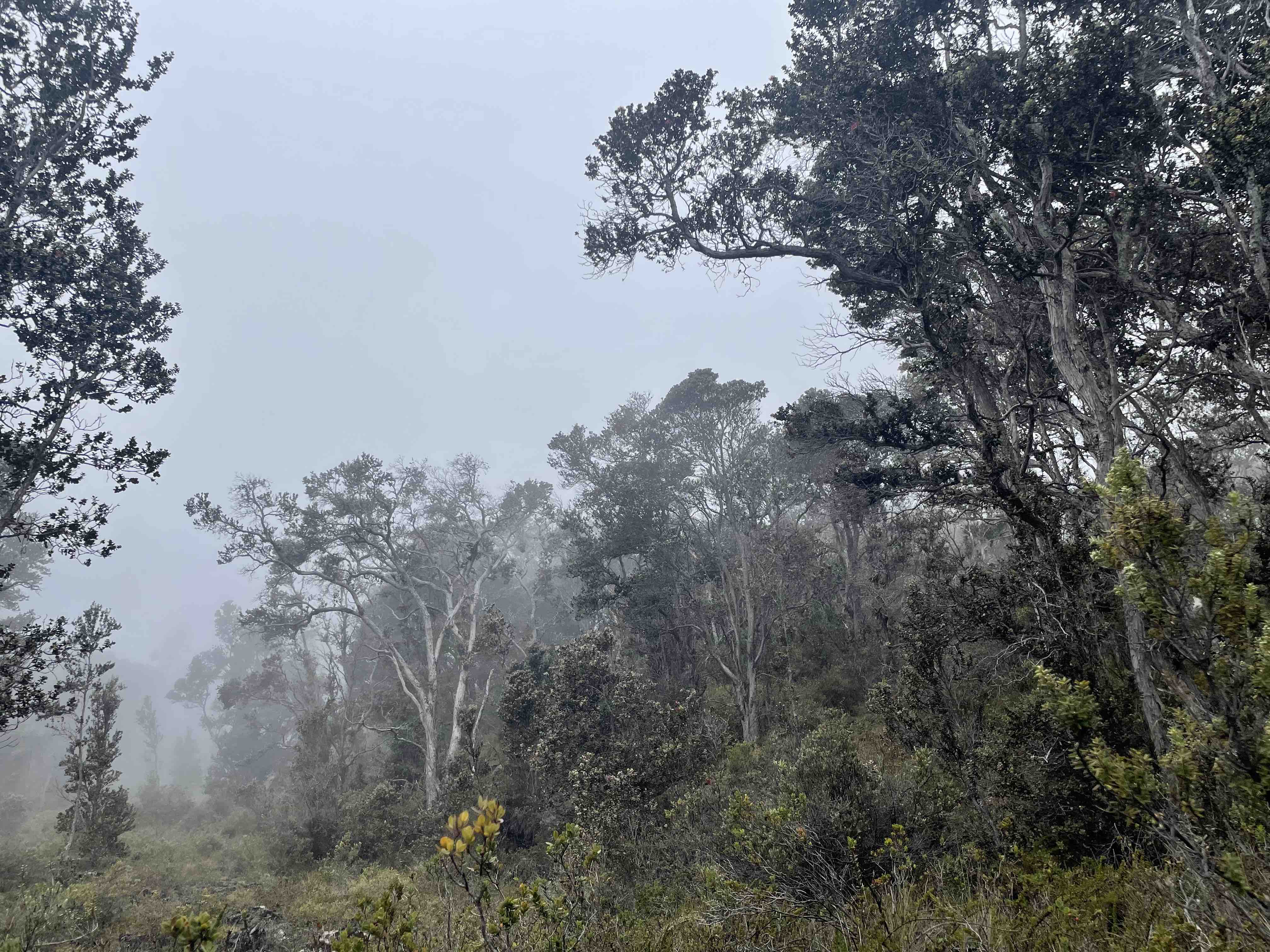 Teaching - Environmental Sensing & Modeling @ Claremont McKenna College